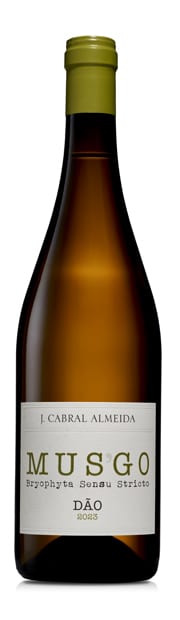 Musgo - Wine Concept